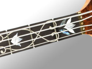 Full Fingerboard Inlays