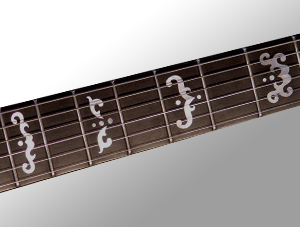Full Fingerboard Inlays